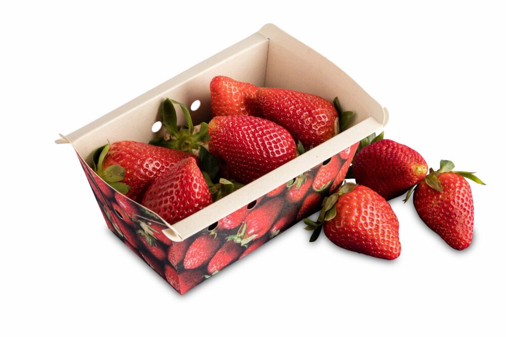 duurzame verpakkingen - PaperWise